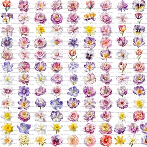 Printable Watercolor Spring Floral Clipart Bundle, Spring Clipart ...