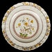 Antique / Vintage Copeland Spode's Buttercup Pattern / Salad Plate - Etsy