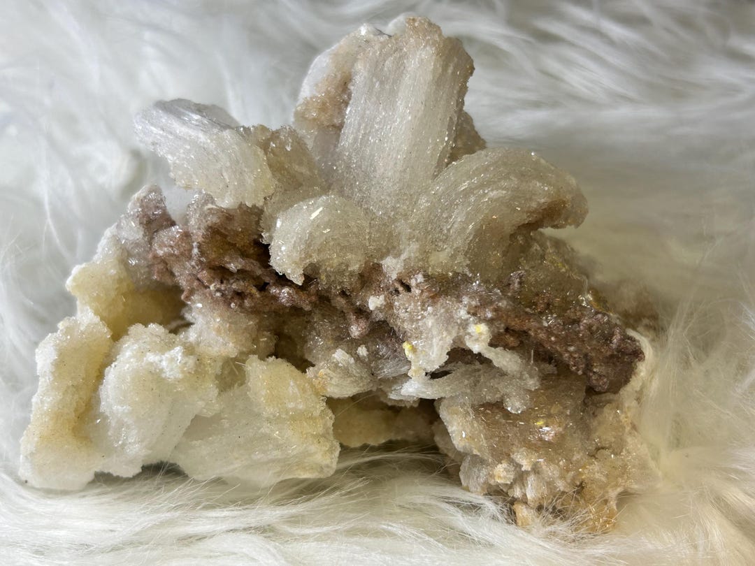 Ram’s Horn Selenite - Etsy