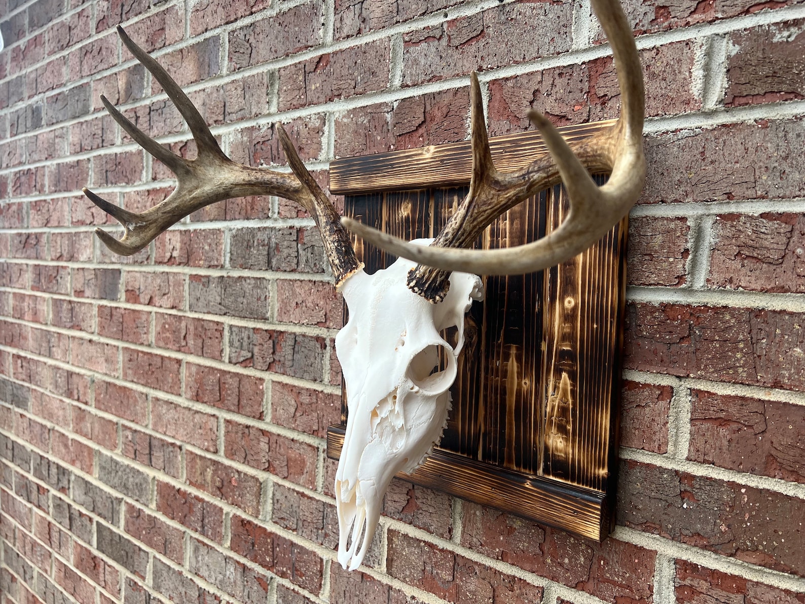 Rustic European Mount Wall Plaque - Torched Wood - Etsy