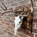 Rustic European Mount Wall Plaque - Torched Wood - Etsy