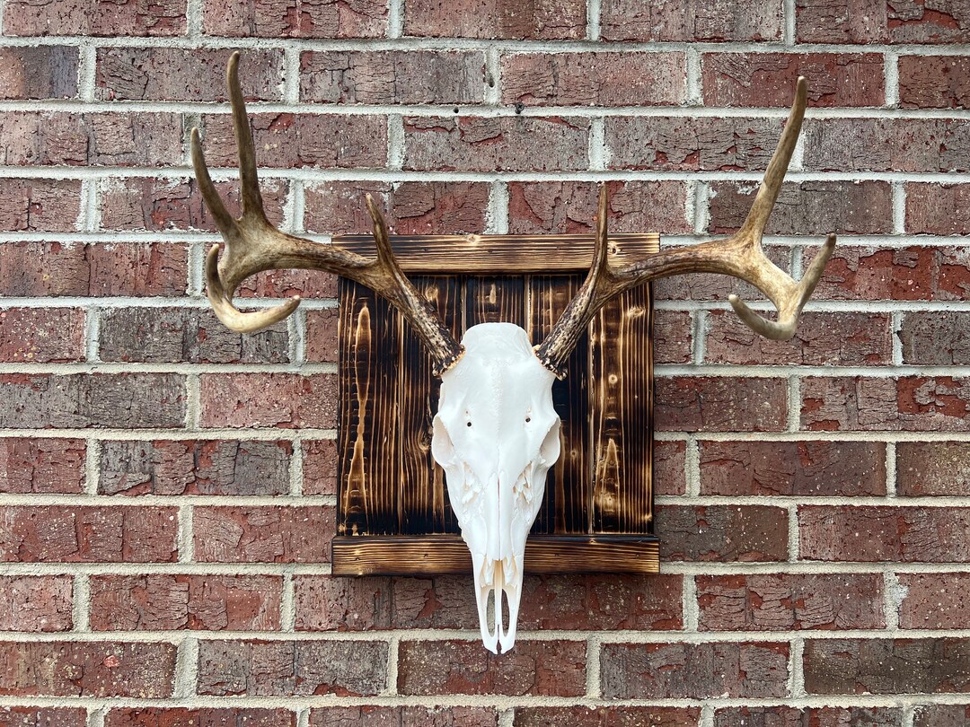 Rustic European Mount Wall Plaque - Torched Wood - Etsy