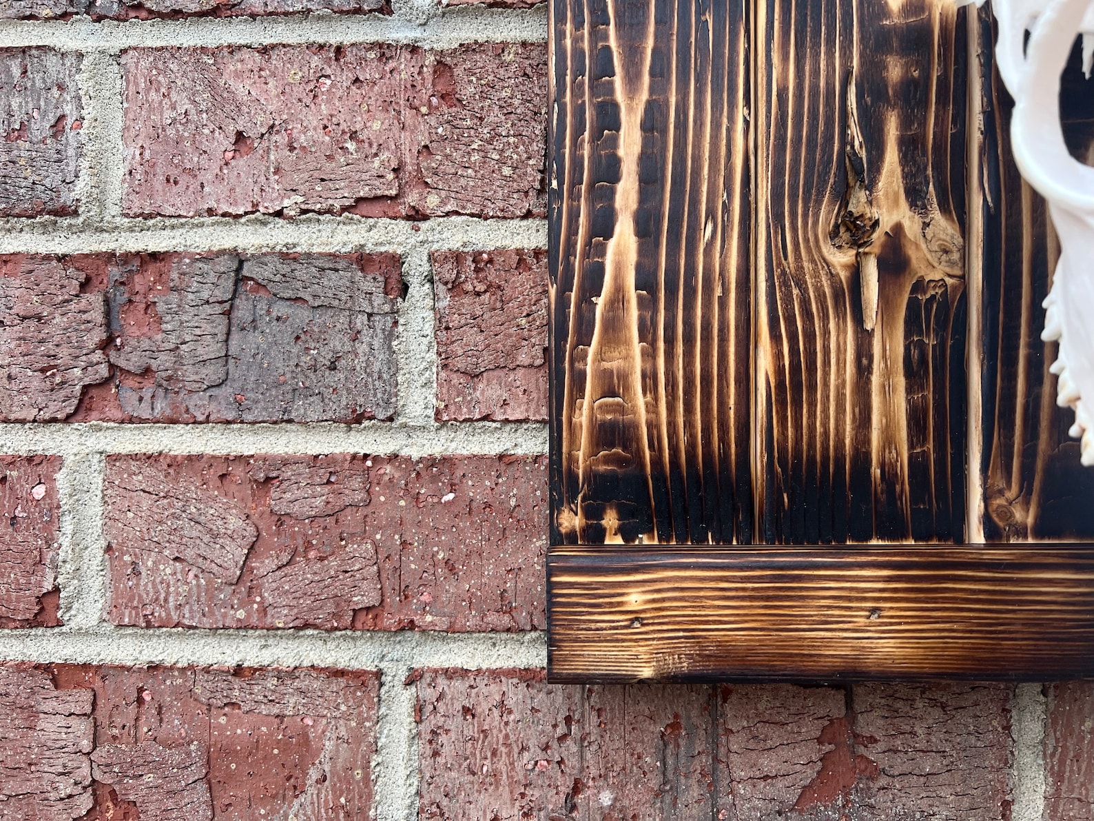 Rustic European Mount Wall Plaque - Torched Wood - Etsy