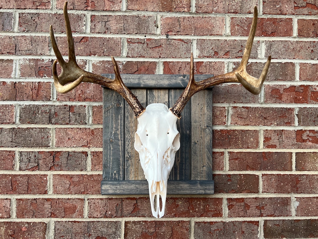 Rustic European Mount Wall Plaque - Etsy