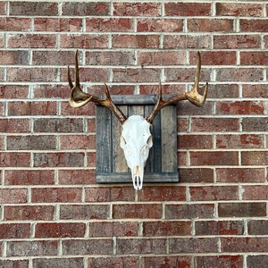 Rustic European Mount Wall Plaque - Etsy