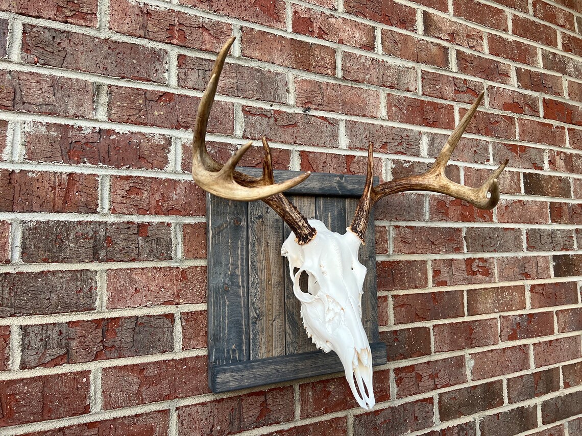 Rustic European Mount Wall Plaque - Etsy