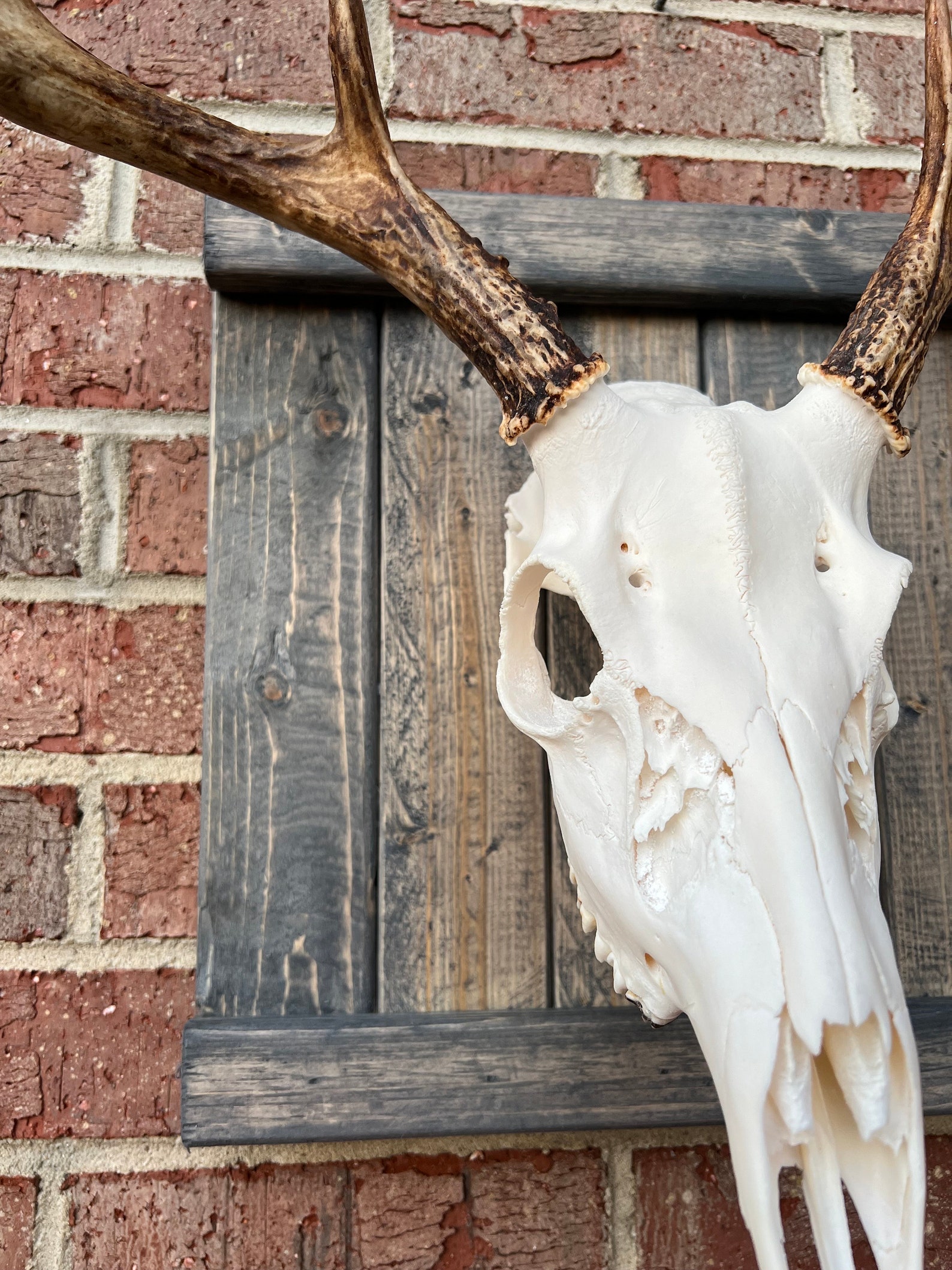 Rustic European Mount Wall Plaque - Etsy