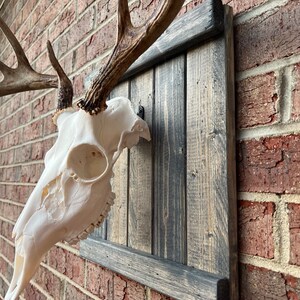 Rustic European Mount Wall Plaque - Etsy