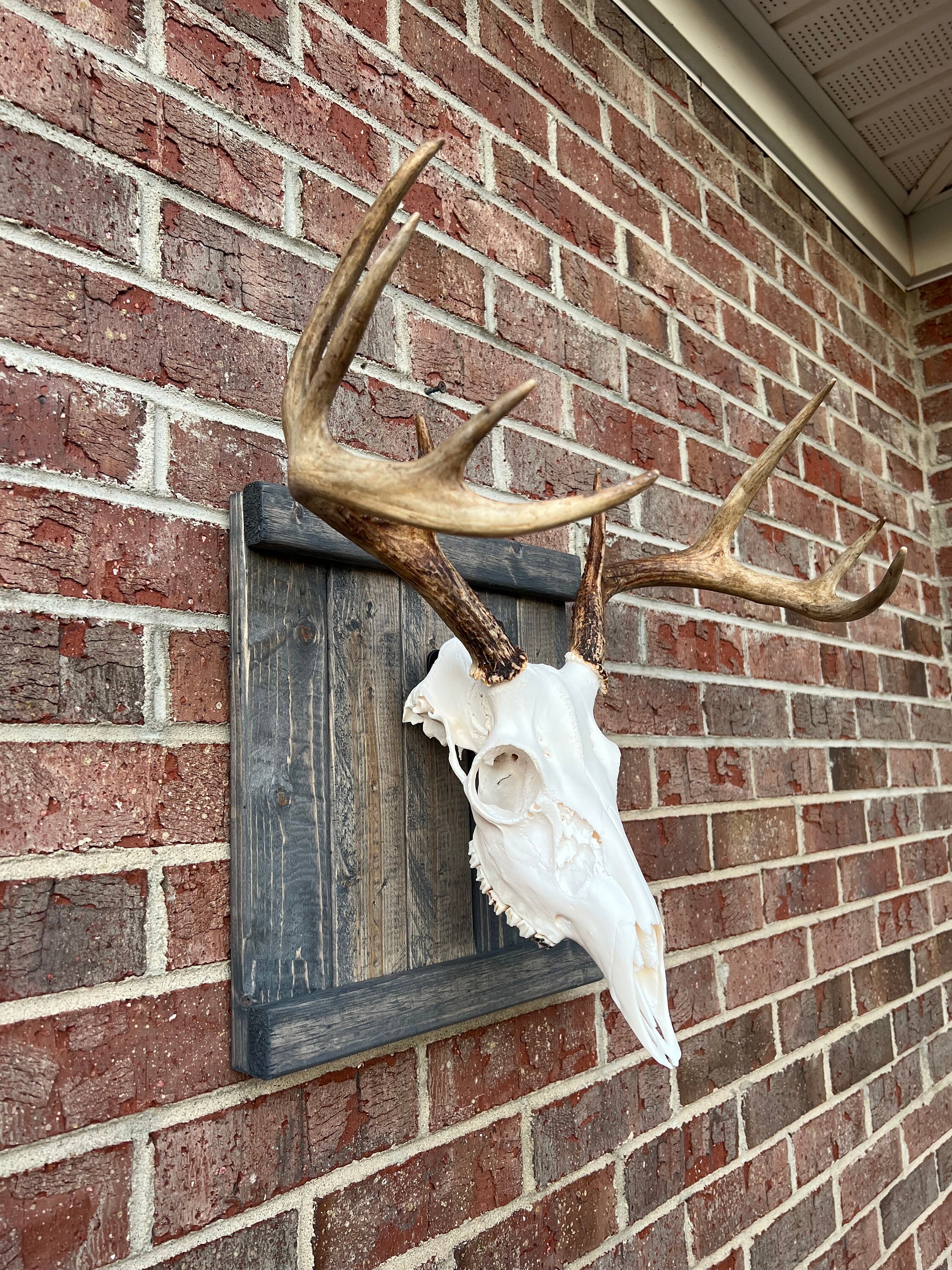 Rustic European Mount Wall Plaque - Etsy