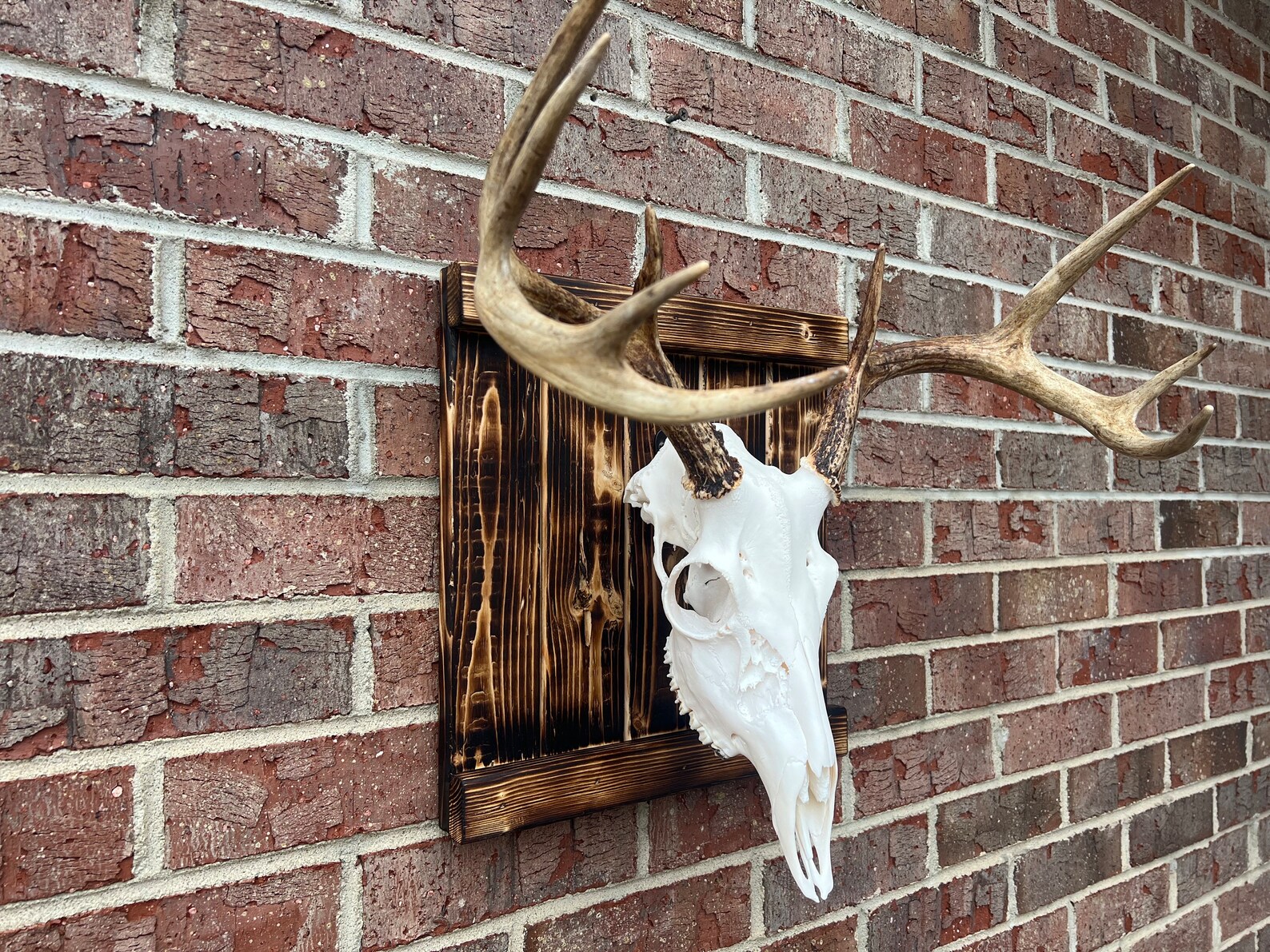 Rustic European Mount Wall Plaque - Torched Wood - Etsy