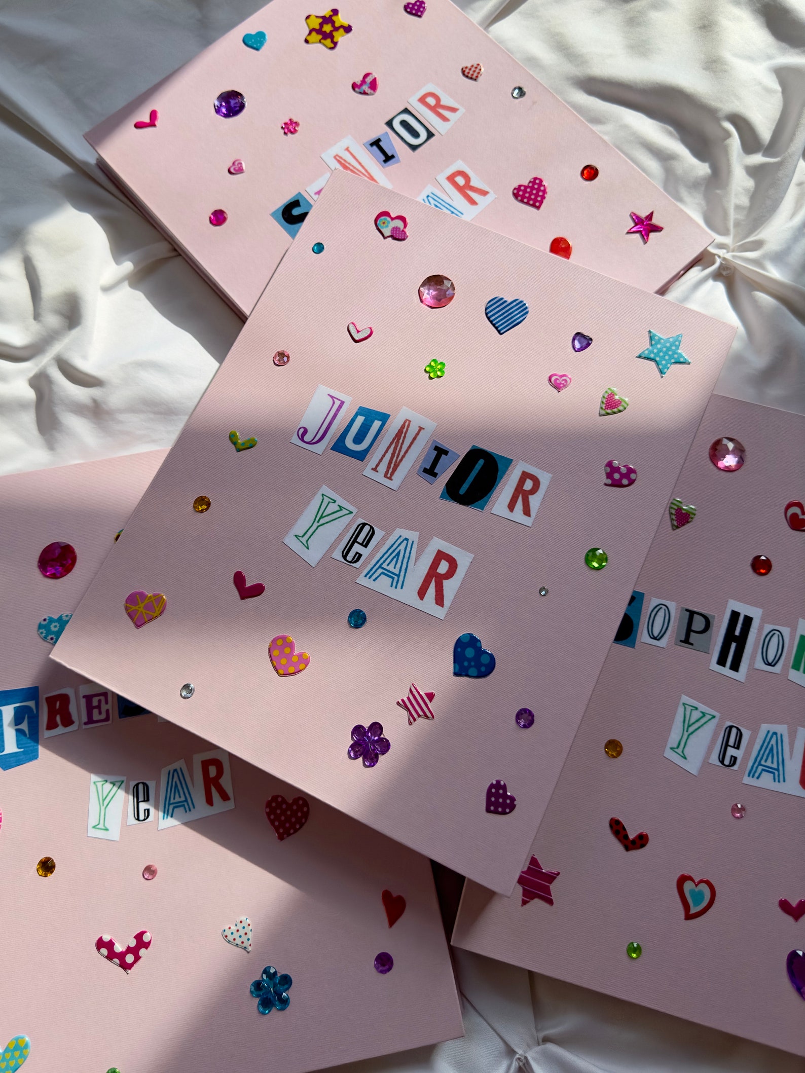 Sophomore Year Scrapbook, School Memory Journal, 110 Sheets, 11 X 8.5 ...