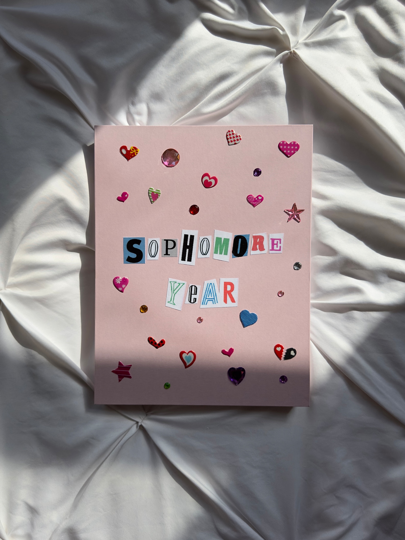 Sophomore Year Scrapbook, School Memory Journal, 110 Sheets, 11 X 8.5 ...
