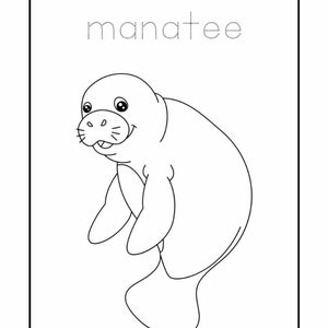 Ocean Life Coloring Book for Kids - Etsy