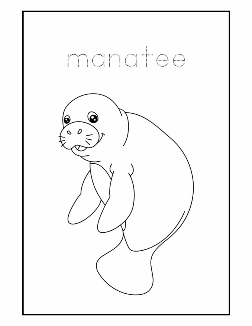 Ocean Life Coloring Book for Kids - Etsy UK