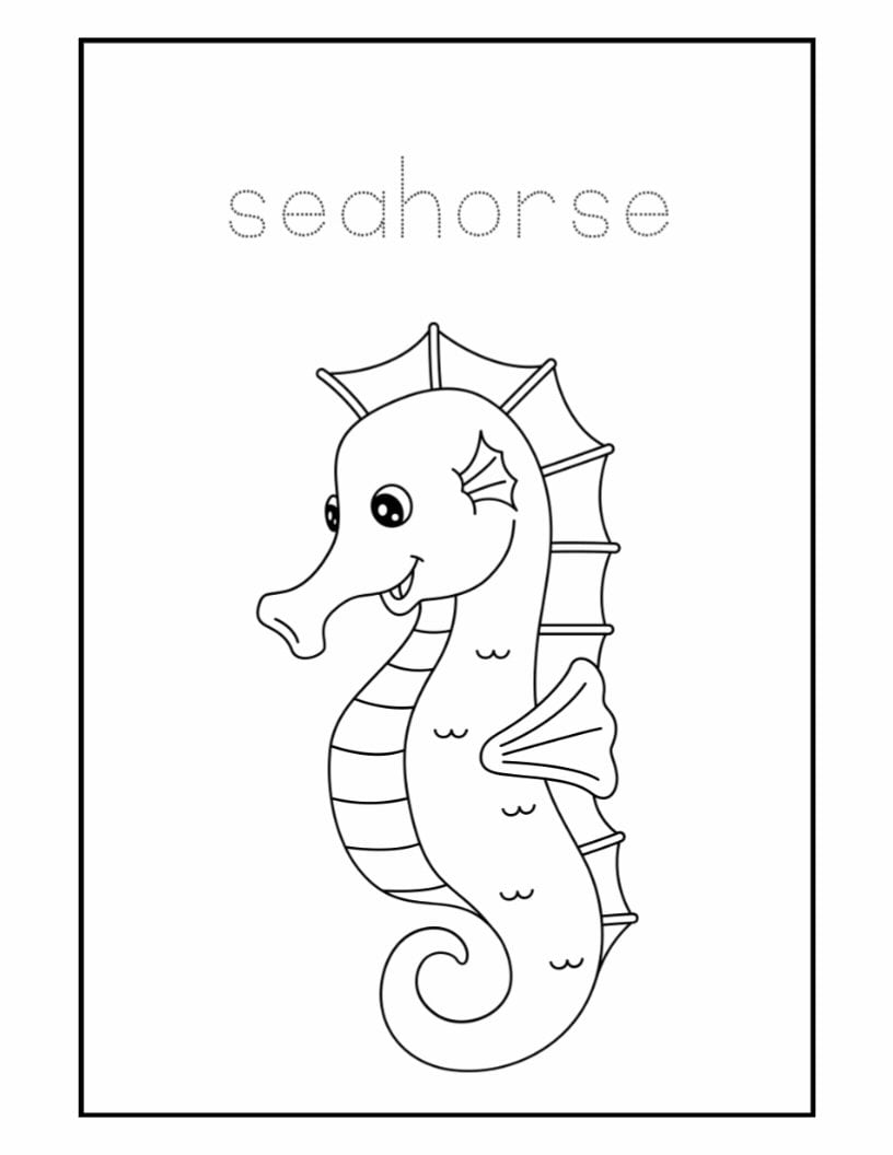 Ocean Life Coloring Book for Kids - Etsy