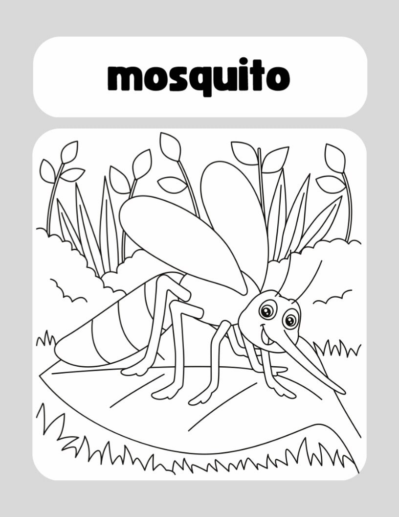 Insects & Bugs Coloring Book - Etsy