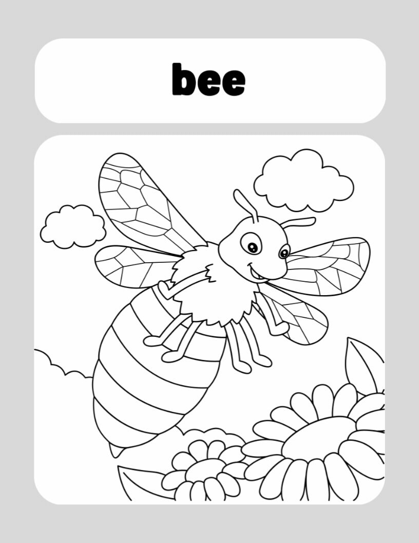 Insects & Bugs Coloring Book - Etsy
