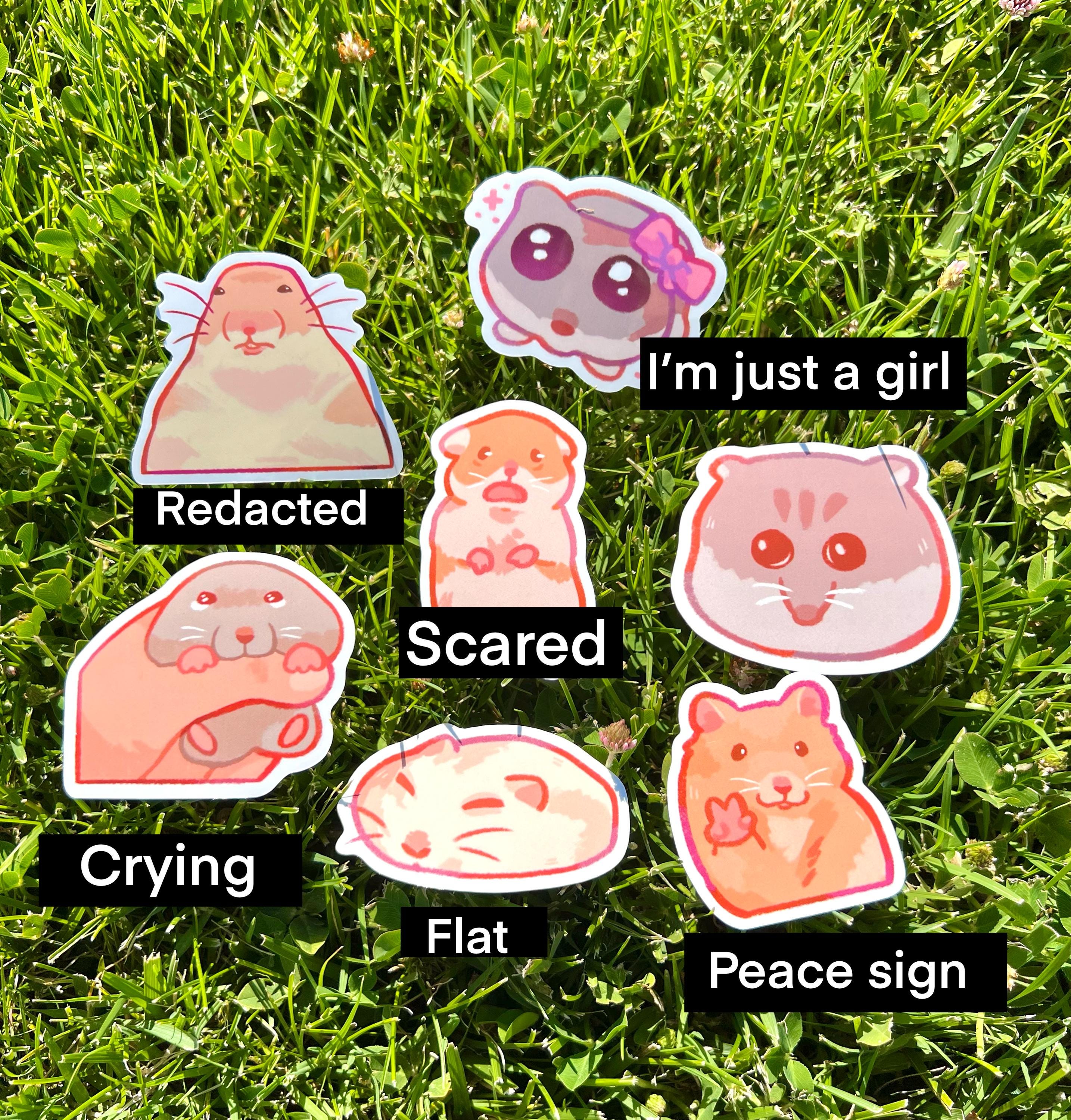 Hamster Meme Stickers, Cute Kawaii Stationery, Tiktok Pets - Etsy
