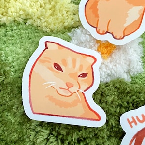 Cat Meme Tiktok Stickers, Instagram Vine Meme, Planner Journal ...