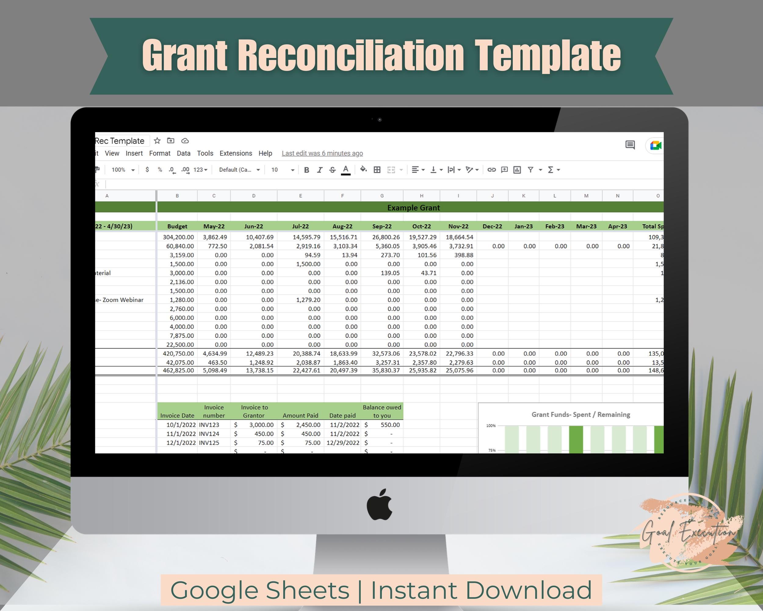 NONPROFIT Grant Reconciliation Budget Template – GOOGLE SHEETS - Etsy