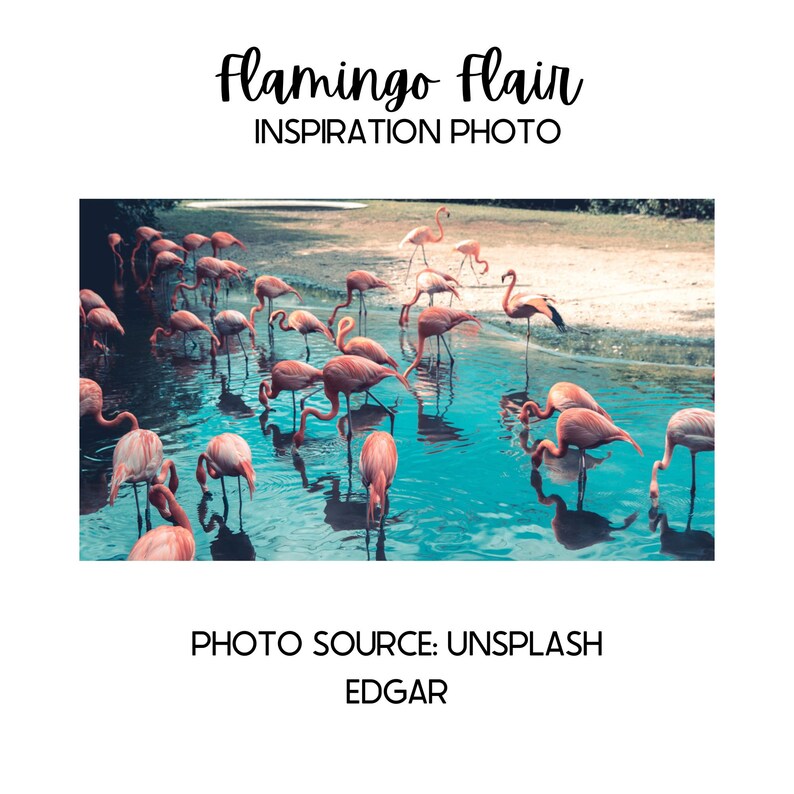 Flamingo Flair, Procreate Color Palette, Ocean Inspired Colors, Digital ...