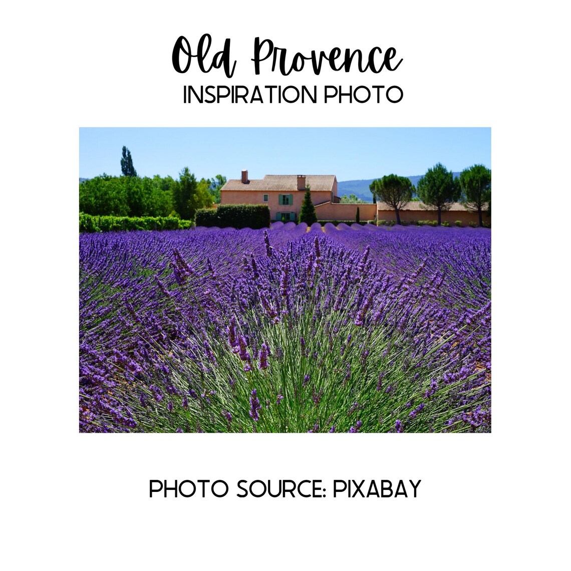 Old Provence, Procreate Color Palette, Garden Inspired Colors, Digital ...