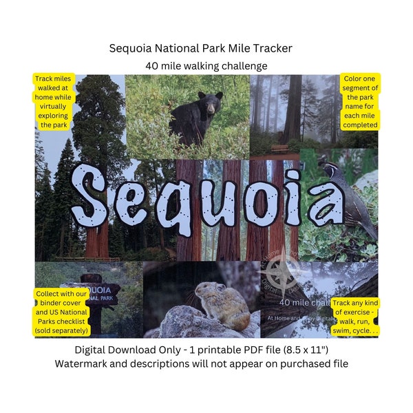 Mile Tracker Coloring - Etsy