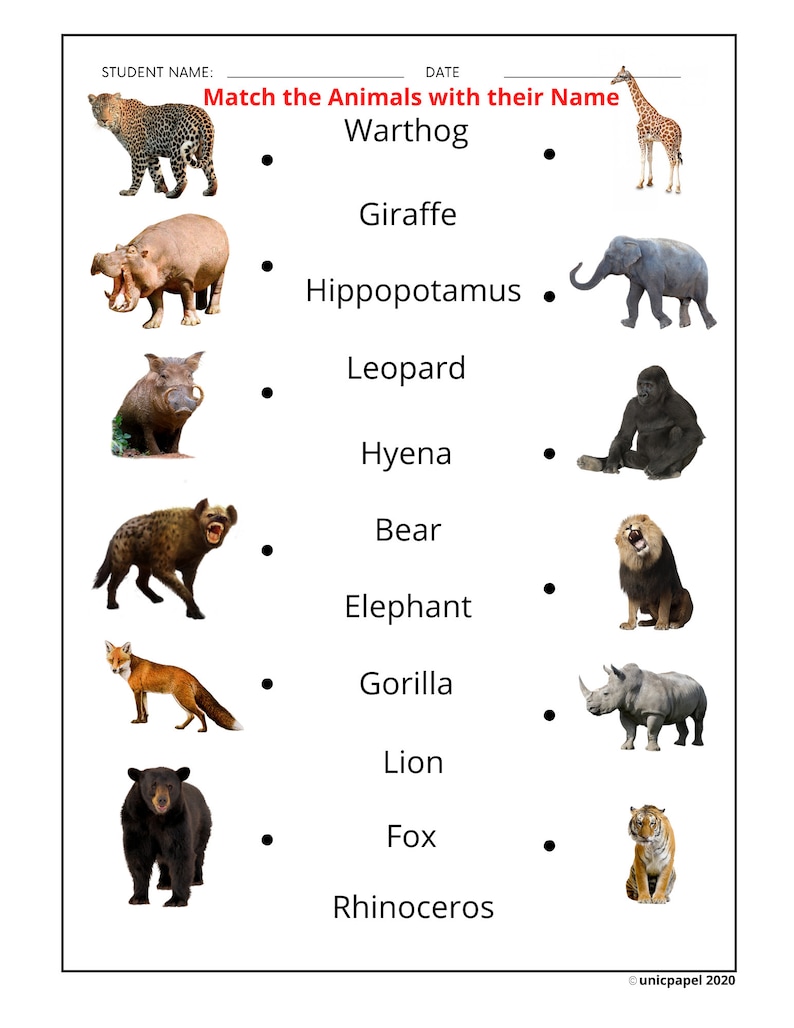 Animals Learn Sheet, Worksheet Printable|pet Animals|wild Animals|farm ...