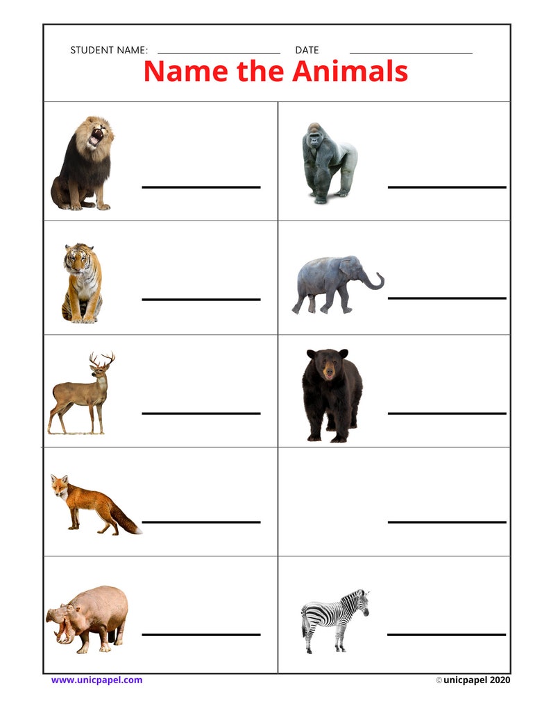 Animals Learn Sheet, Worksheet Printable|pet Animals|wild Animals|farm ...