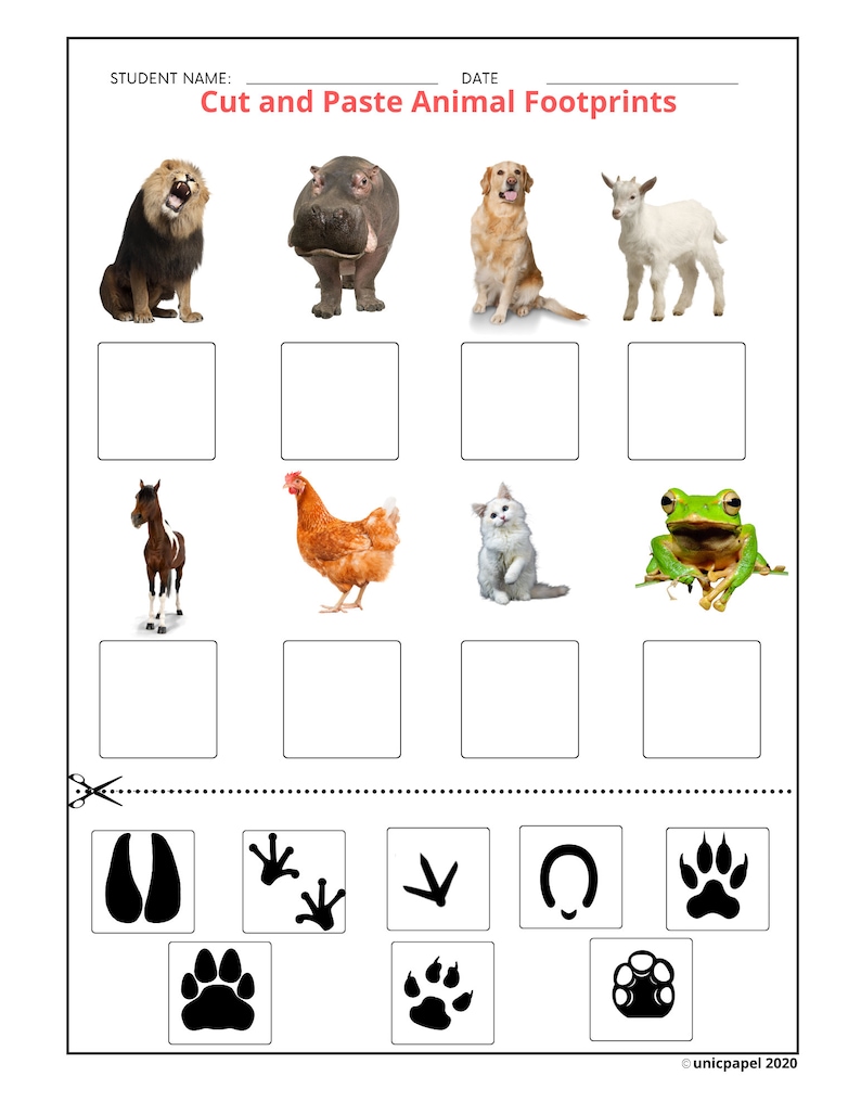 Animals Learn Sheet, Worksheet Printable|pet Animals|wild Animals|farm ...