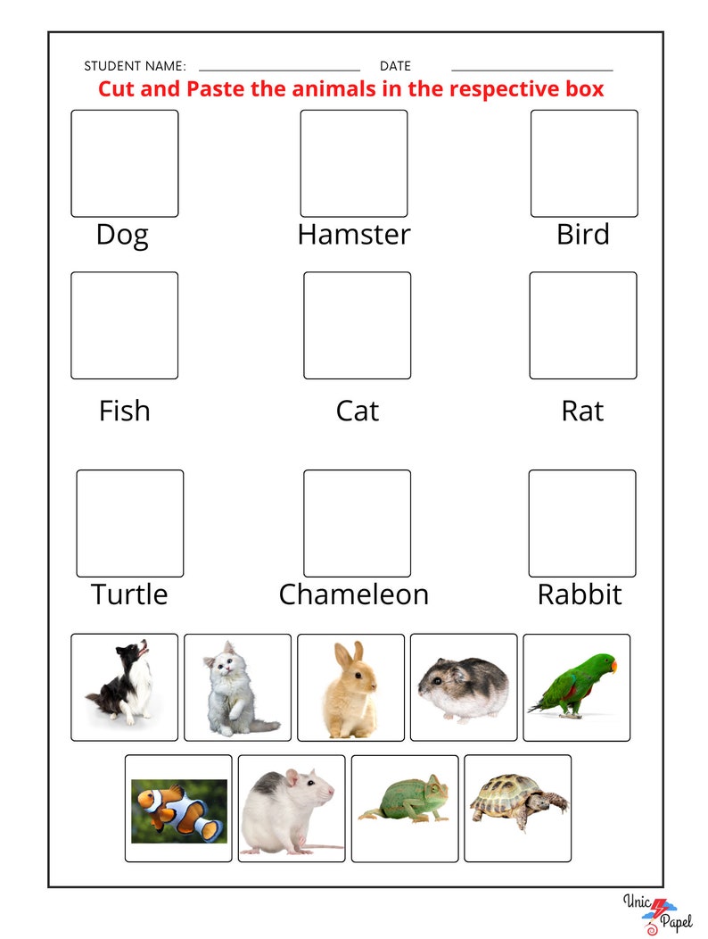 Pet Animals Learn Sheet, Worksheet Printable|pet Animals for ...