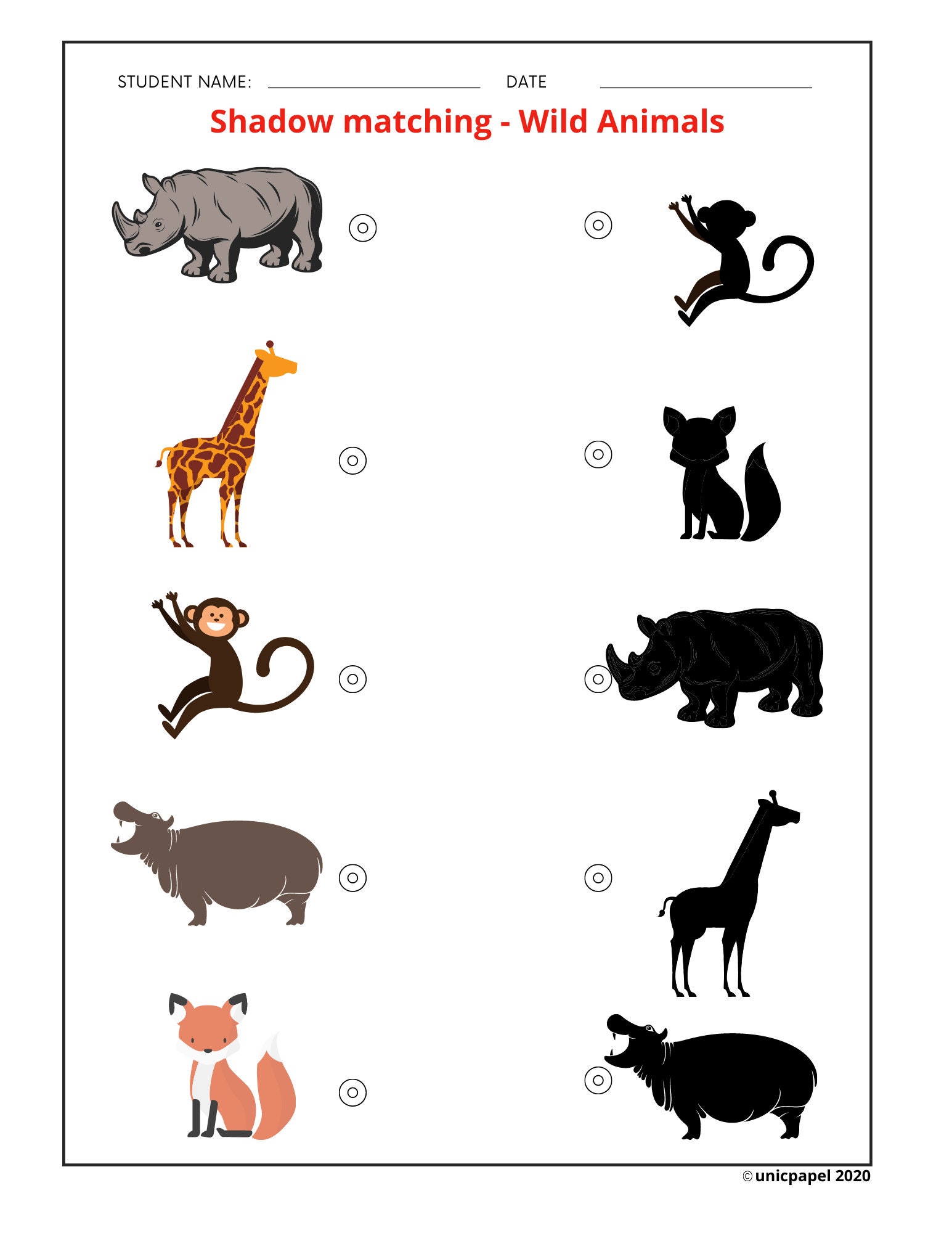 Wild Animals Worksheets Preschool