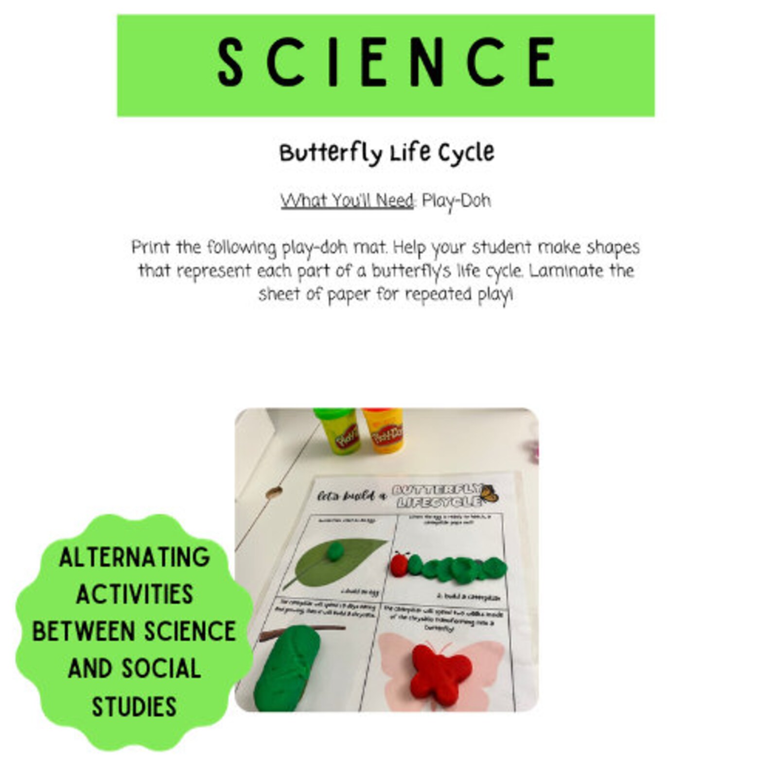 Insect Themed Preschool Activities - Etsy