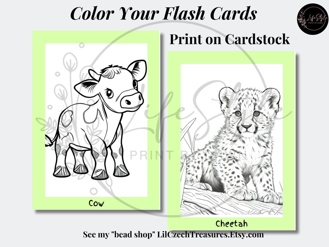 Color Your Animal Flash Cards 14 Animal Design Cards Instant PDF ...