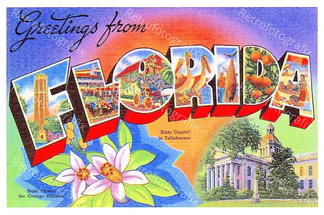 Greetings From FLORIDA - Large Letter Vintage Postcard From the 1930’s ...