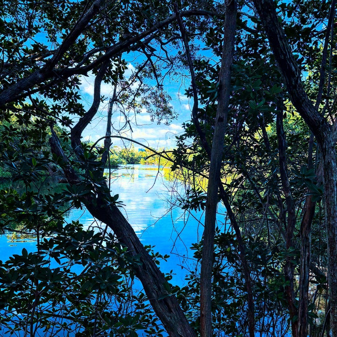 Lake Trees Sky Reflection Digital Photo - Etsy