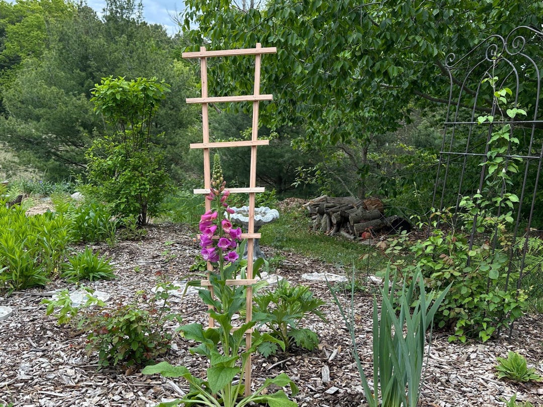 Leaf Ladder Trellis Build Plans - Etsy