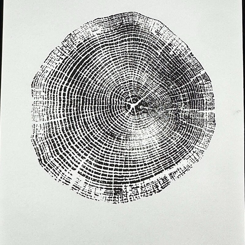 Tree Ring Art Print - Etsy