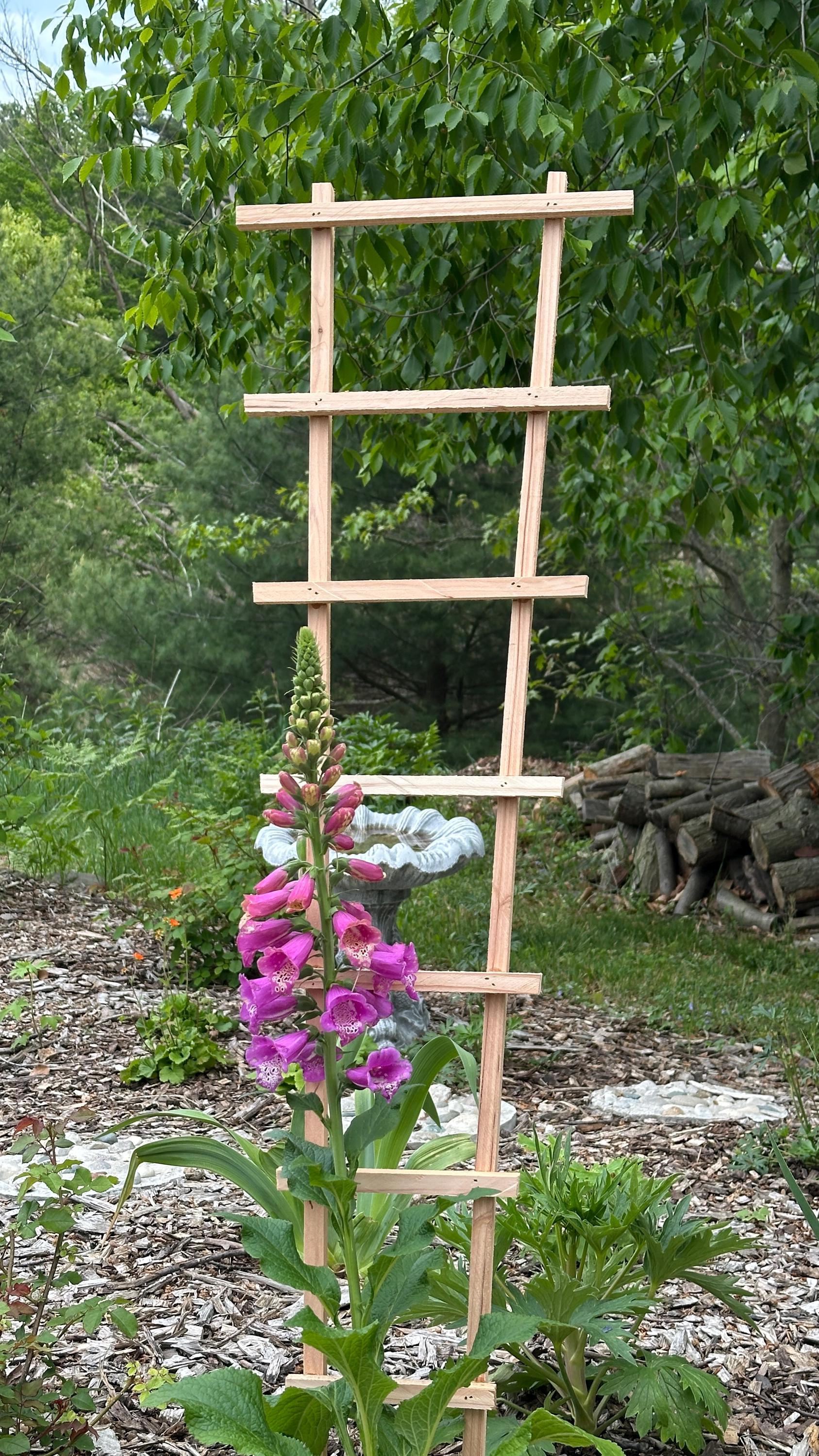 Leaf Ladder Trellis Build Plans - Etsy