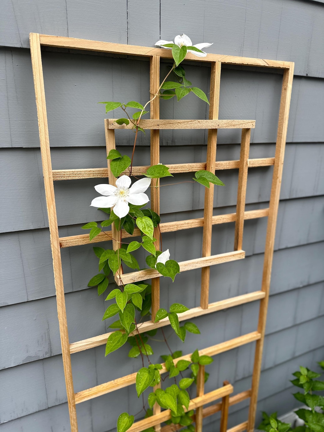 Squares Trellis Build Plans - Etsy