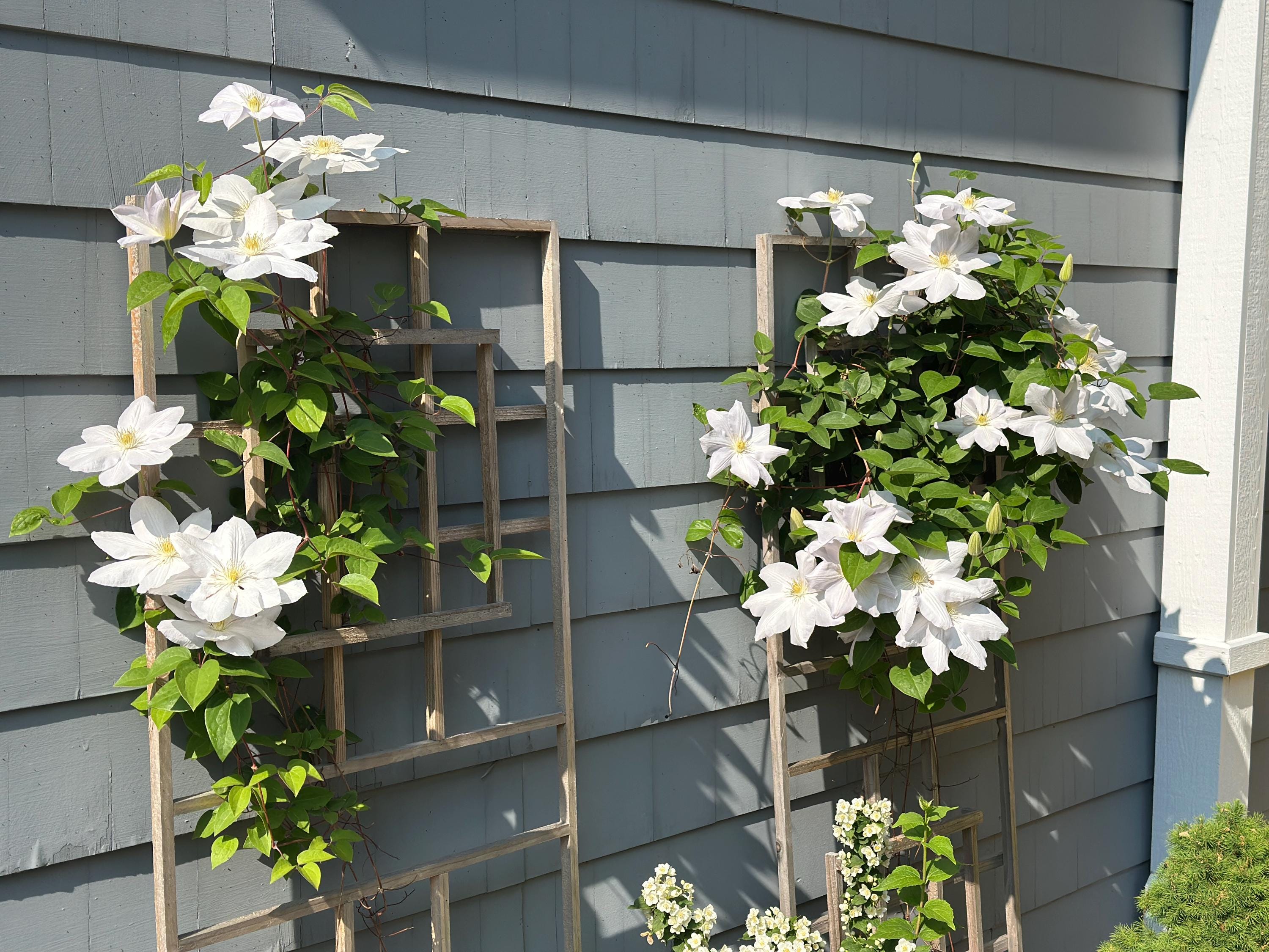 Squares Trellis Build Plans - Etsy
