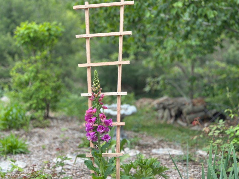 Leaf Ladder Trellis Build Plans - Etsy
