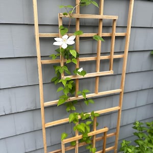 Squares Trellis Build Plans - Etsy