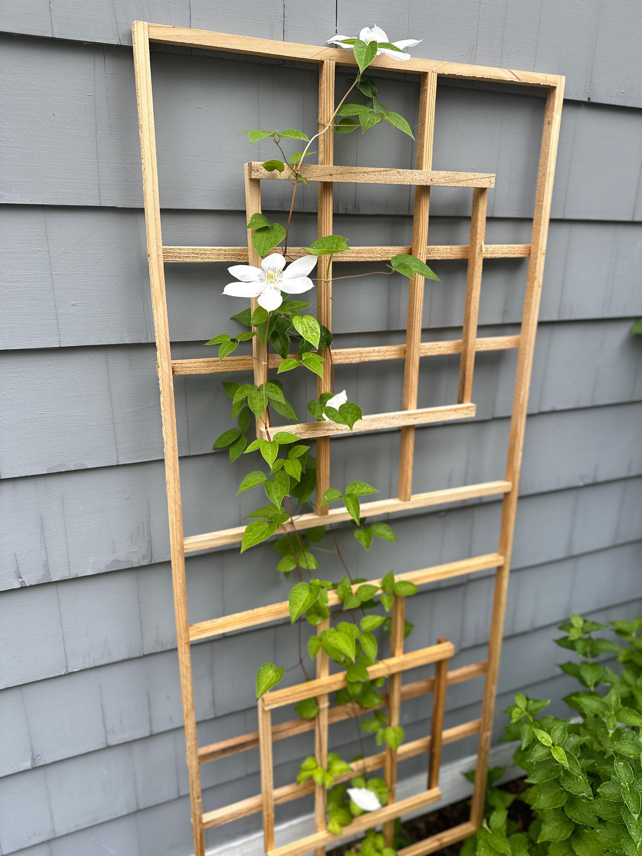 Squares Trellis Build Plans - Etsy