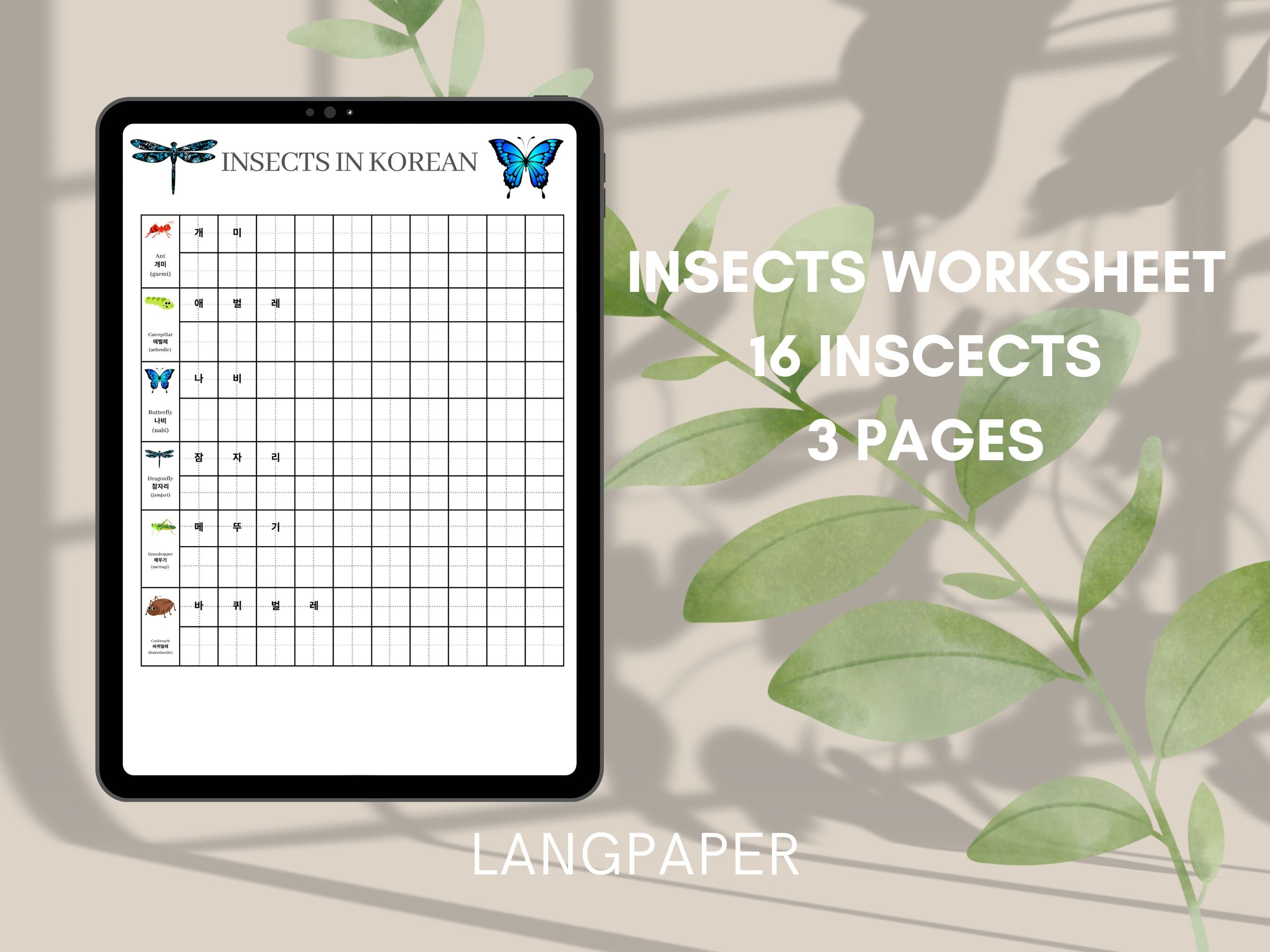 Korean Worksheet Korean Vocabulary for Beginner Korean Flowers, Korean ...