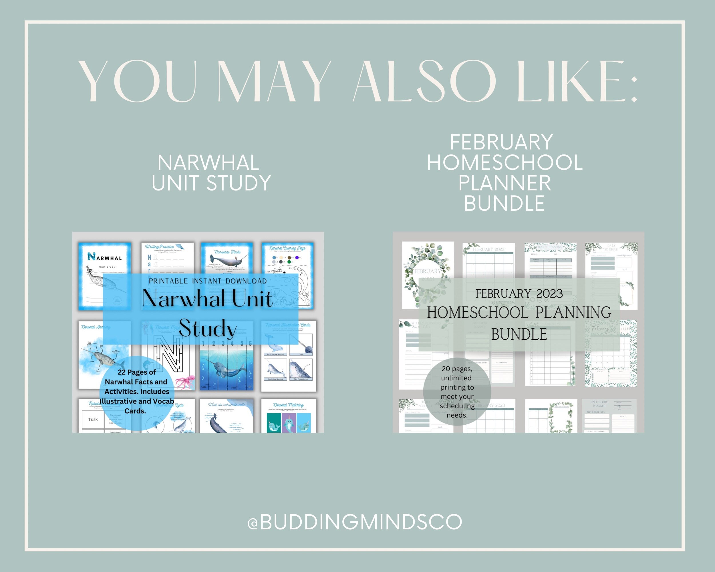 Printable Heart Anatomy Unit Study for Homeschool and - Etsy Canada