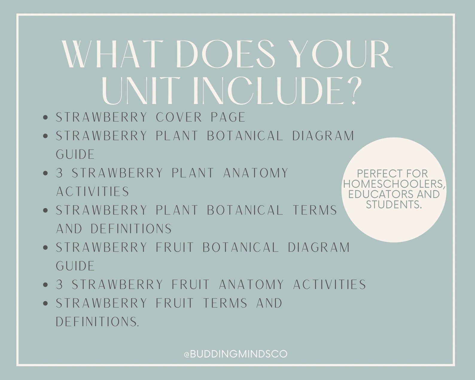 Printable Strawberry Anatomy Unit Study, Spring Botany Lesson ...