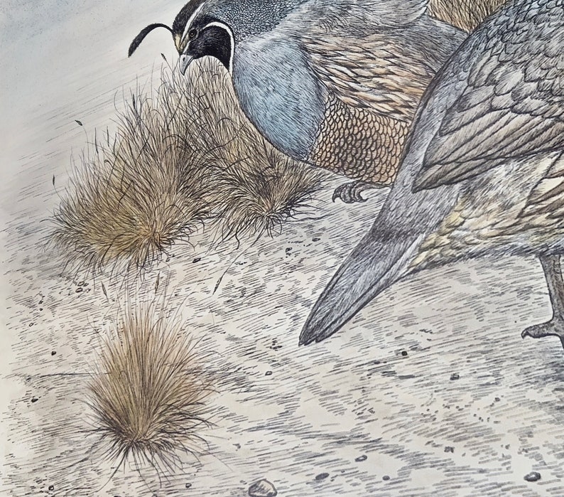 Jon Robertson Limited Edition “quail Creek” Signed Lithograph W/COA ...