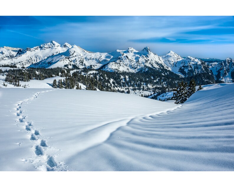 Photograph of Snowshoe Tracks in Snowy Winter Landscape on Mt Rainier ...