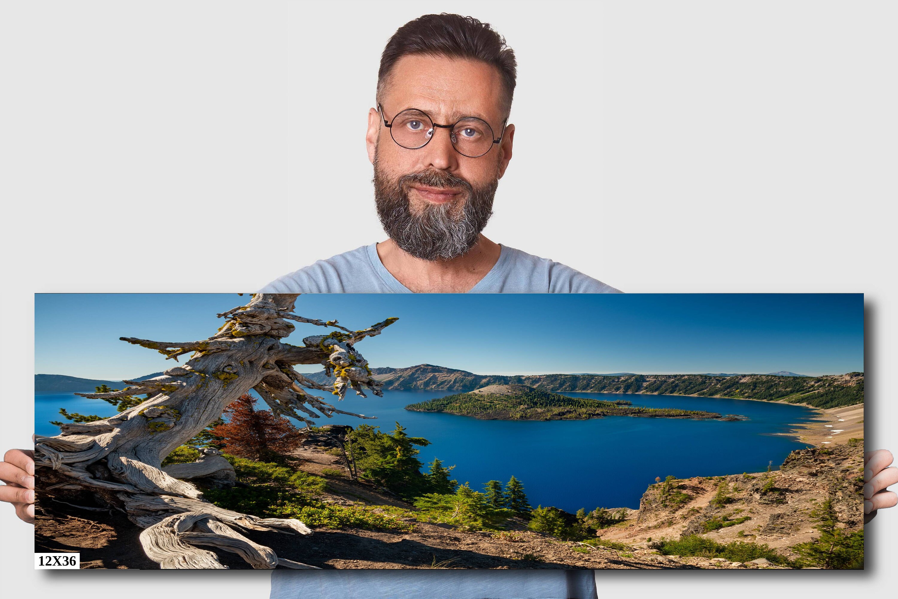 Photograph of Ancient Weathered Tree Framing Wizard Island and Crater ...